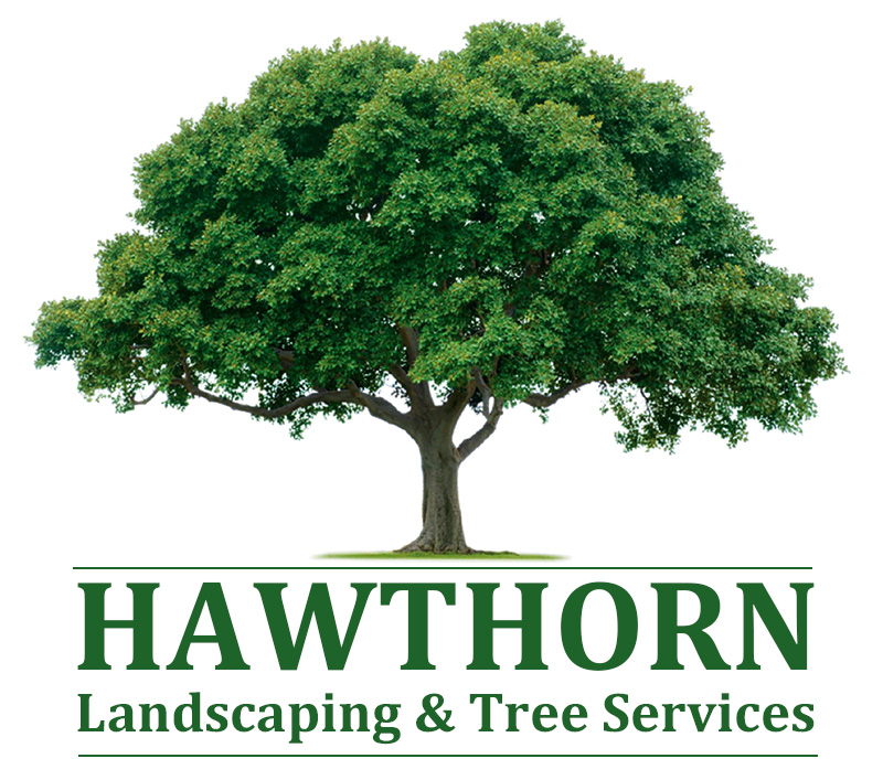 Hawthorn Landscaping and Tree Services - Competitive quotes.